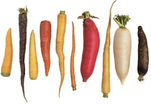 Meals – Vancouver Public Schools